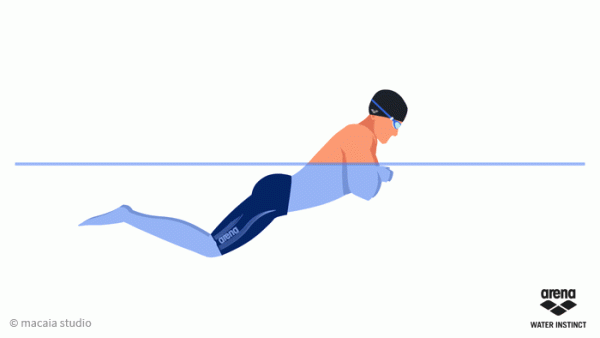 Plaukimas - LTU Aquatics