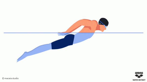 Plaukimas - LTU Aquatics